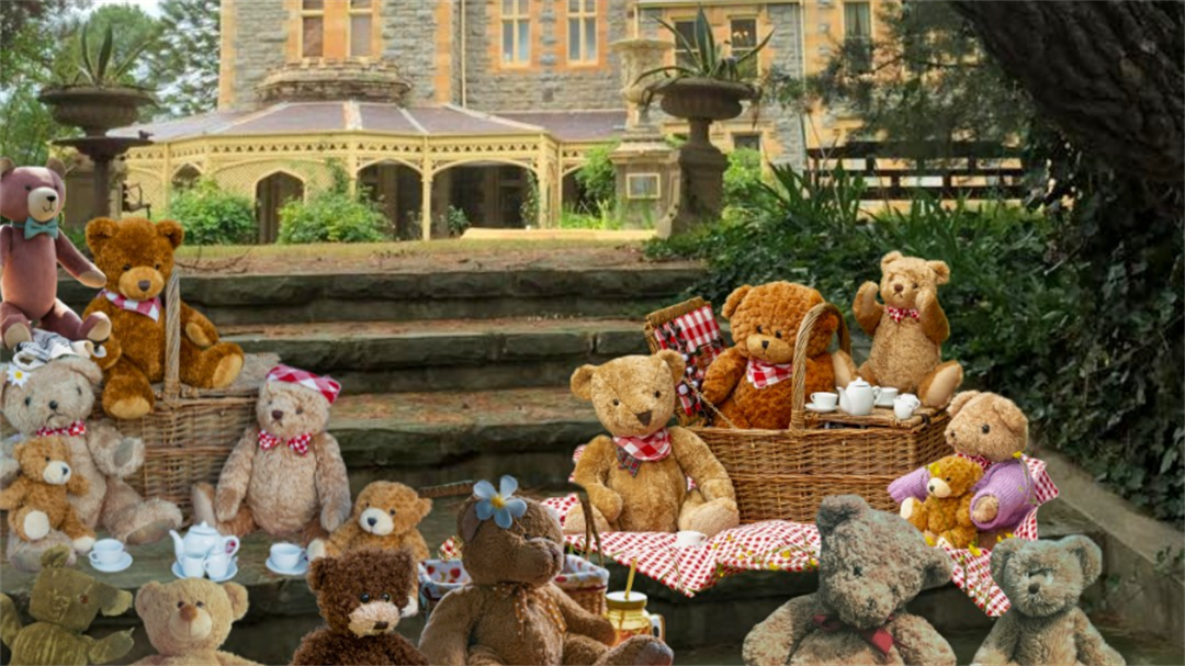 Teddy Bear’s Picnic