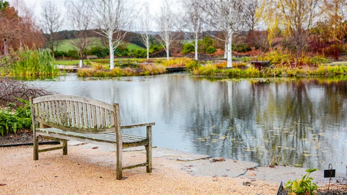 Visit Mayfield Garden with Bathurst Tours' Transfer Service